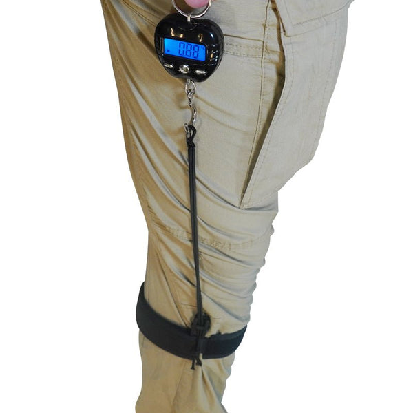 Digital Traction Scale – TMC Pty Ltd